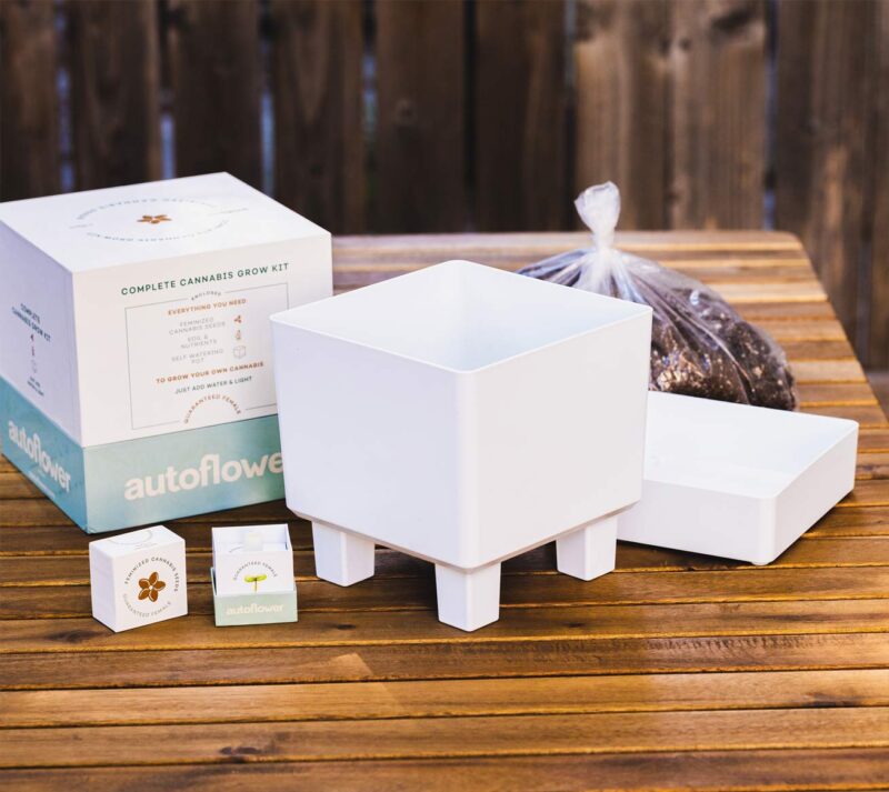 Grow Kit – Autoflower