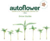 Grow Guide – Autoflower